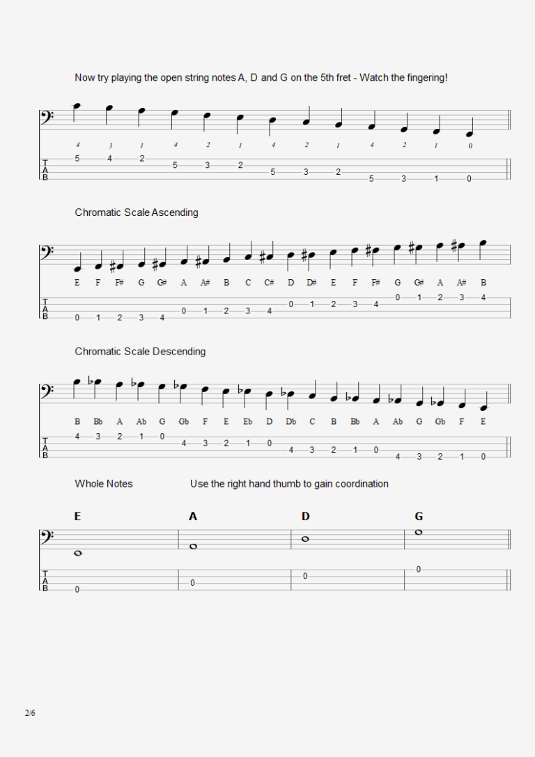 Bass Basics Part One - Studio 211